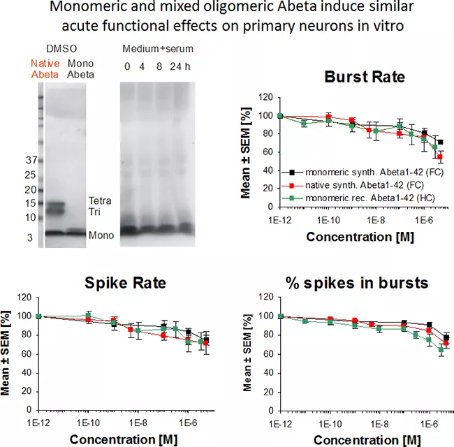 Alzheimer Disease Model ABeta1-42